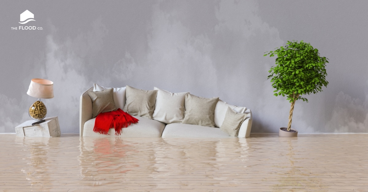 Disaster Restoration Services Explained for Homeowners
