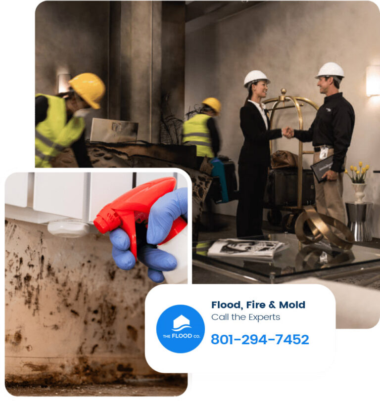 Utah Water Damage Restoration - Flood & Disaster Cleanup Co.