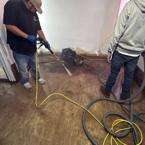 Mold Remediation Services in Ogden & Salt Lake City